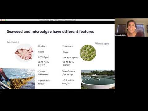 Dr. Amanda Stiles: Using red seaweed protein to improve the organoleptics of plant-based meat
