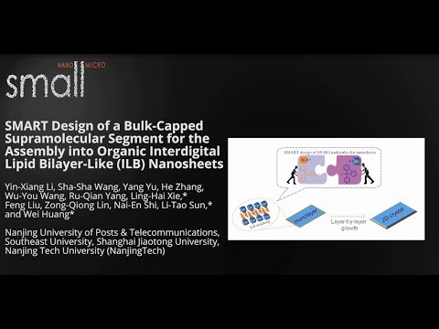 SMART Design of a Bulk-Capped Supramolecular Segment for the Assembly into Organic ILB Nanosheets