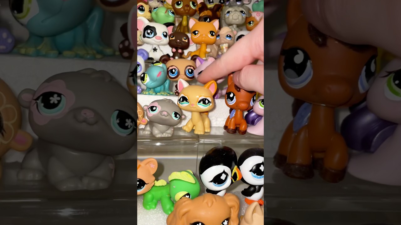 My childhood favorite LPS :) Littlest Pet Shop collection!