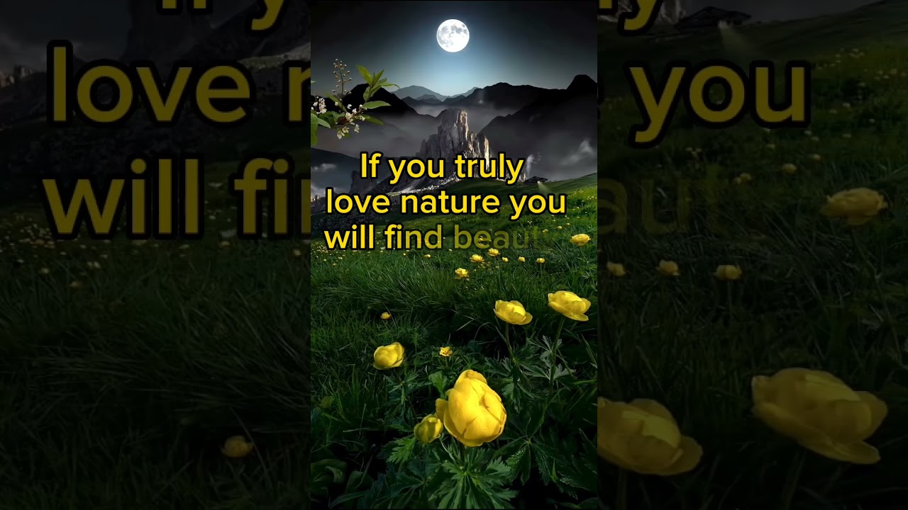 Quote about nature | nature beauty | nature love | life quotes  🪷🌷