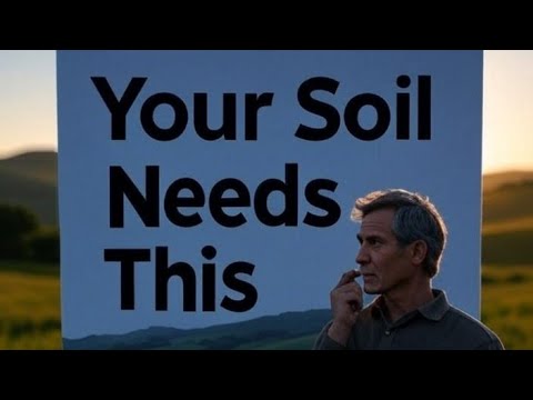 Your Soil Needs This – The Hidden Power of Worm Castings Revealed