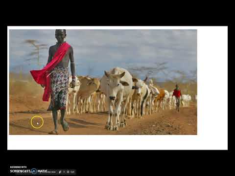 foundations pastoralist
