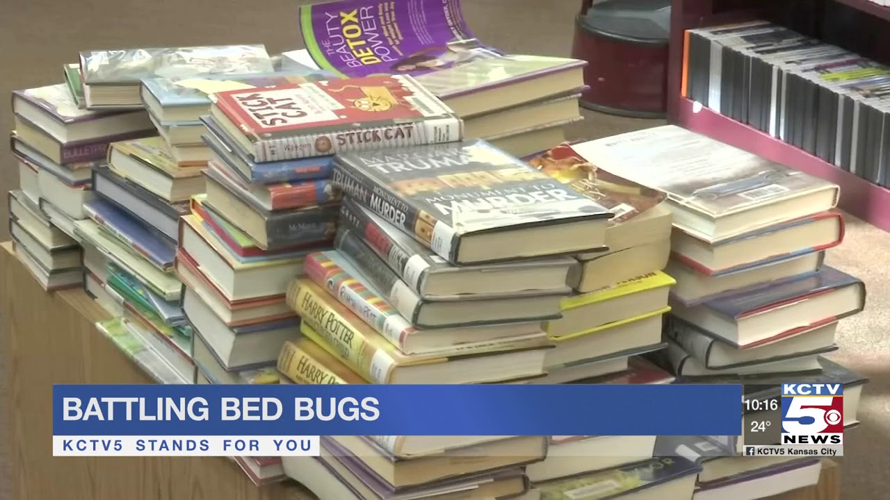 Bedbug cases on the rise, pest control experts say