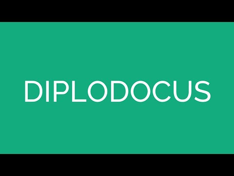 How To Pronounce Diplodocus