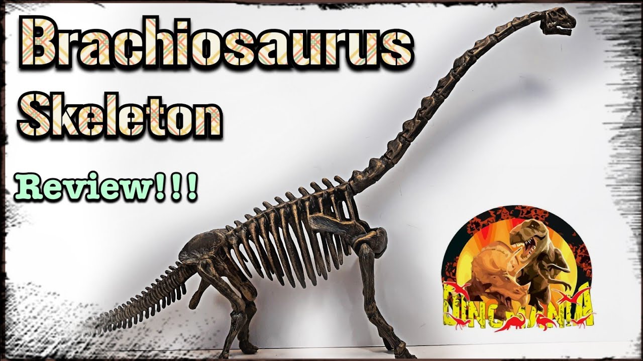 Dinomania Brachiosaurus Skeleton Review!!!