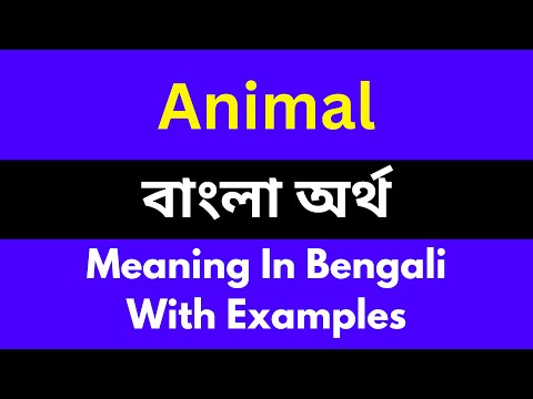 Animal meaning in bengali/Animal শব্দের বাংলা ভাষায় অর্থ অথবা মানে কি