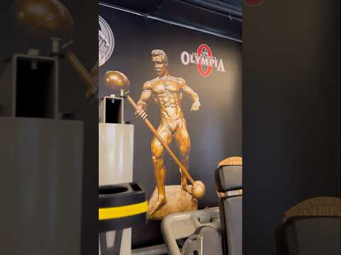 Watch how our customized gym wallpaper takes this space from basic to bold #vrwallpaper #homedecor