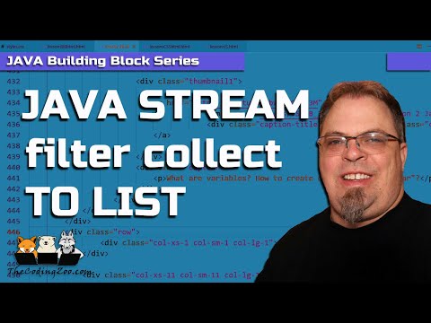 Java Streams Filter | Java Stream Collectors