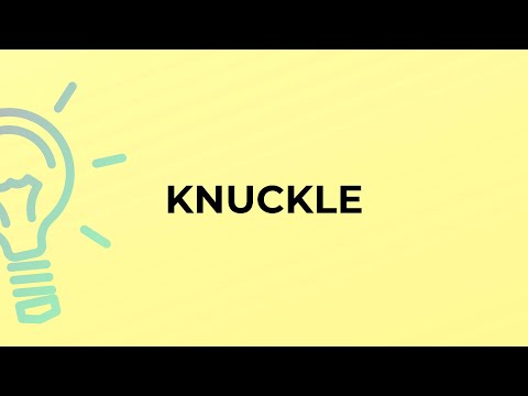 What is the meaning of the word KNUCKLE?