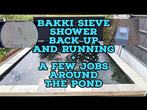 **BAKKI SHOWER RUNNING** (SKIN FLUKE UNDER MICROSCOPE)