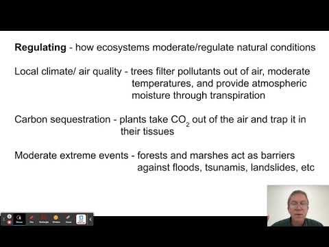 Ecosystem Services
