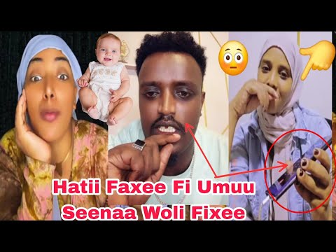 Haatii Faxee Fi Haatii Seenaa Dr Asilii Irraatii Woli Fixee Dr Gudii Ta'ee Live Irraatii