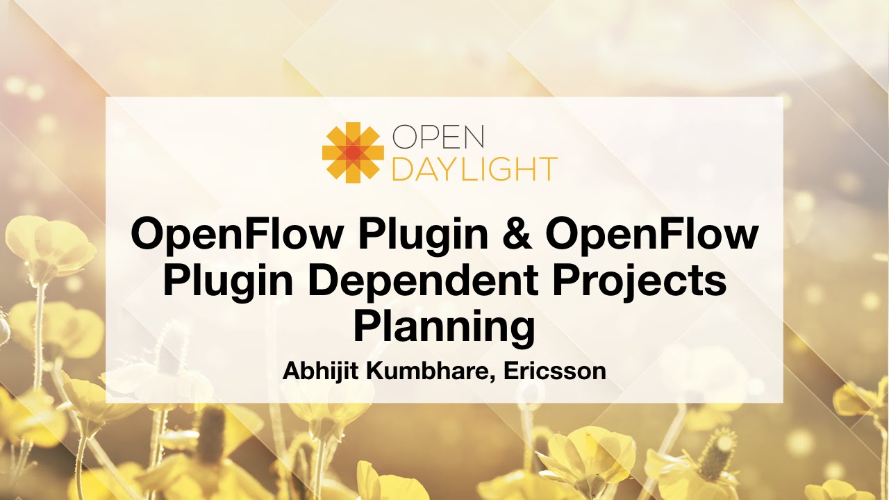 OpenFlow Plugin & OpenFlow Plugin Dependent Projects Planning
