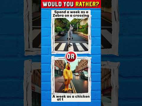 Original Would You Rather Game: Funny original WYR game with a Zebra/ Chicken dilemma. PLAY NOW.