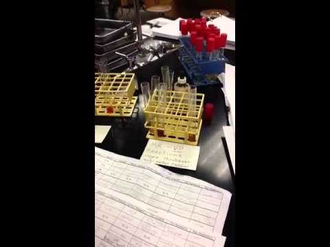 MR VP test