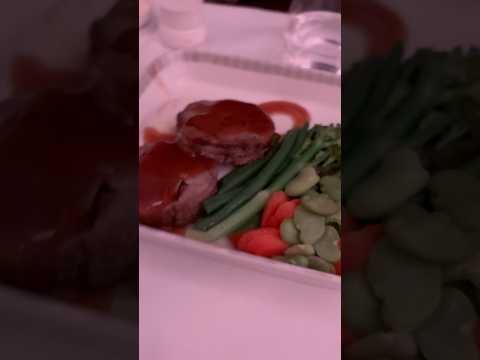 Second Meal of Singapore Airline Flight From Singapore To New York #shorts #singaporeairlines