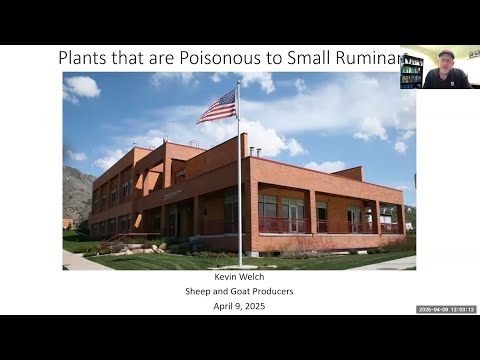 Plants that are Poisonous to Small Ruminants