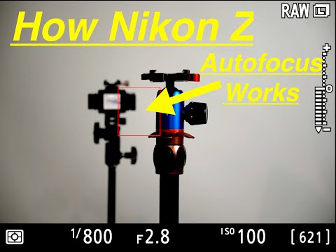 Nikon Z50 & Z series: Autofocus guide (1634)
