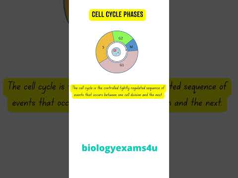 What is Cell Cycle? #cellcycle