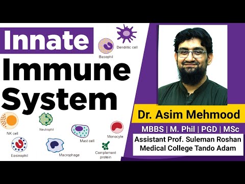 Immunology | Immune System |Innate Immune System Made Easy ( Hindi / Urdu)