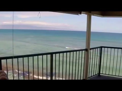 309 Tour 360
