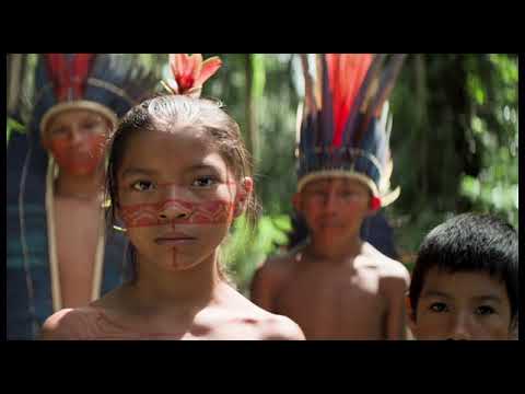 The Letter: A Message for Our Earth PREVIEW