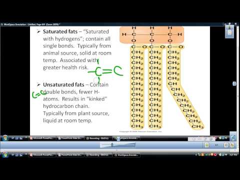 Lipids