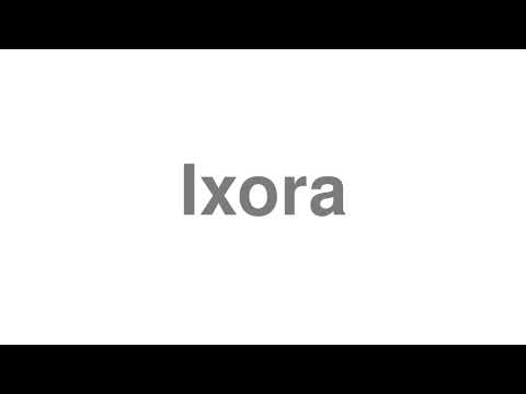 How to Pronounce "Ixora"