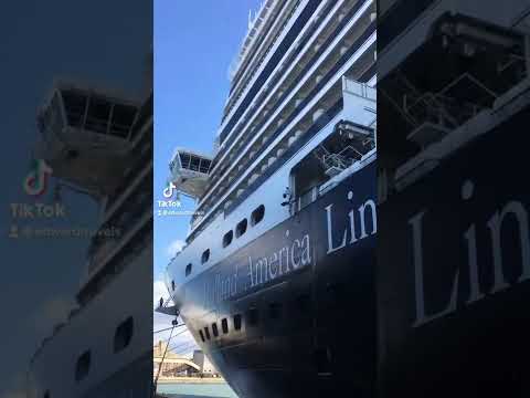 30 SECOND CRUISE SHIP TOUR #shorts