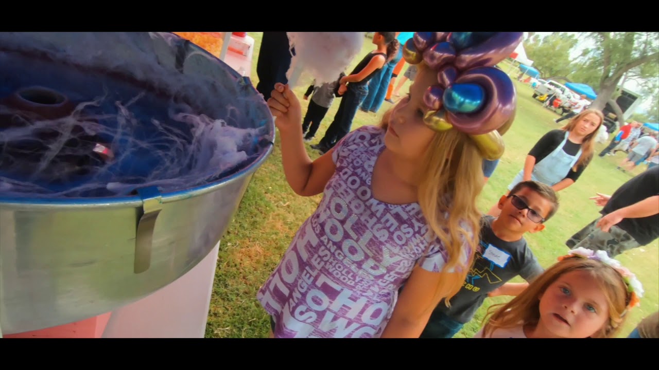 54th IBEW Local 440 Picnic