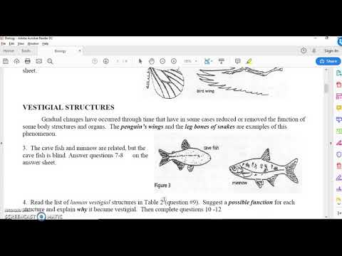 Evidence Evolution Worksheet Review