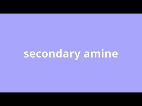 what is the meaning of secondary amine.