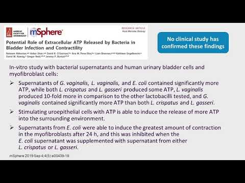 #411 Effect of Escherichia coli infection on lower urinary tract function in male patients