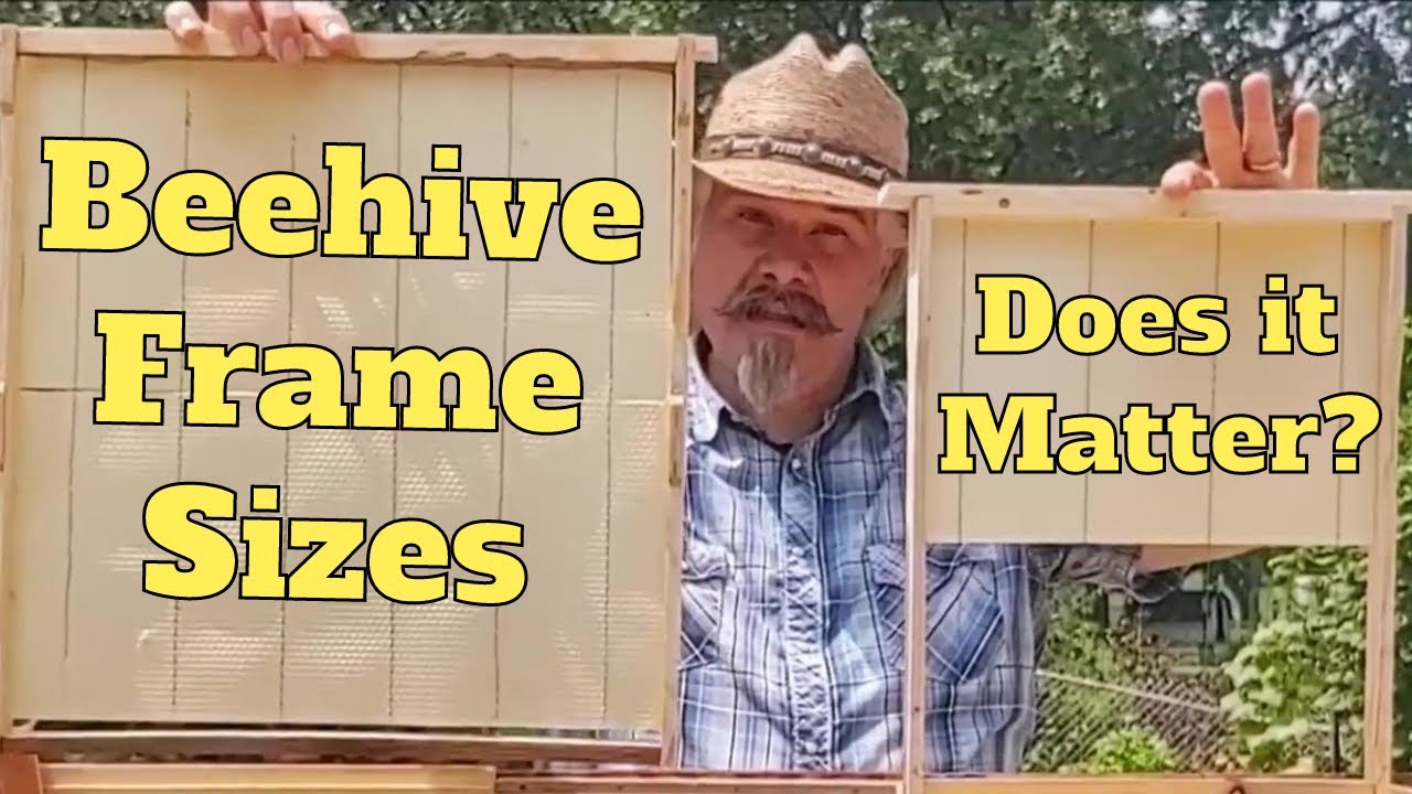 Beehive Frame Comparison: Langstroth vs. Layens vs. Lazutin