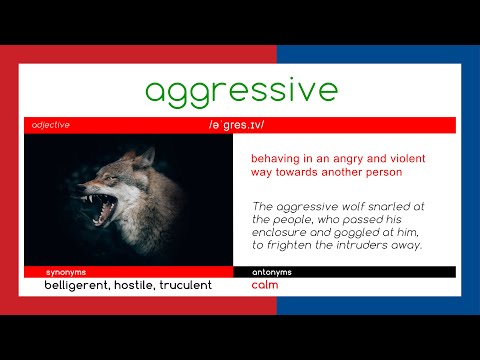 A G G R E S S I V E - (1) - WORD OF THE DAY - English - Meaning - Spelling - Synonyms and antonyms
