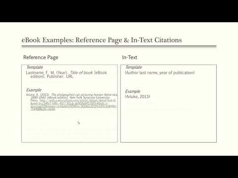 APA 7th Citation Style