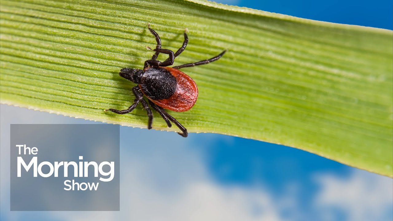 Why are tick-borne illnesses on the rise in Canada?