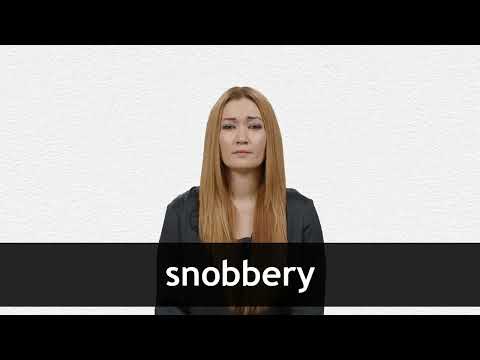 SNOBBERY definition in American English | Collins English Dictionary
