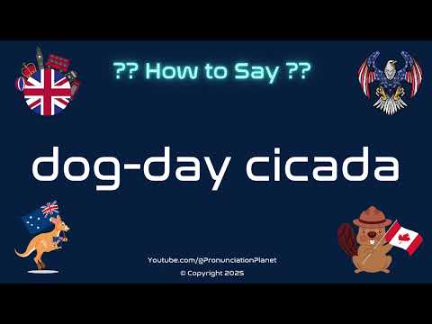 🐞🎶 How to Pronounce dog-day cicada? (CORRECTLY) | Pronunciation Planet