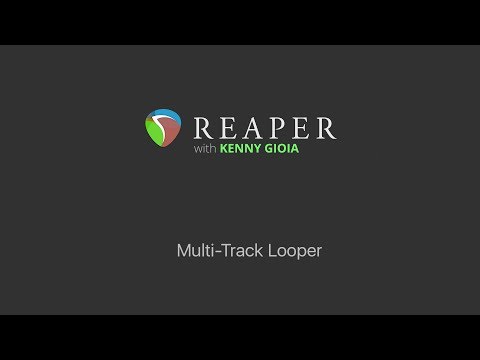Using Reaper as a Multi-Track Loop Pedal | Guitar Lessons NH