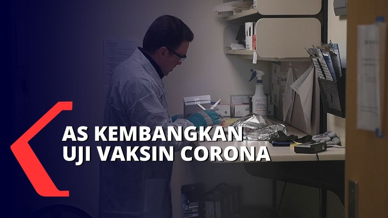 AS Mulai Uji Coba Vaksin Corona Kepada Manusia