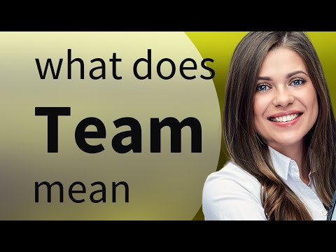 Team — meaning of TEAM