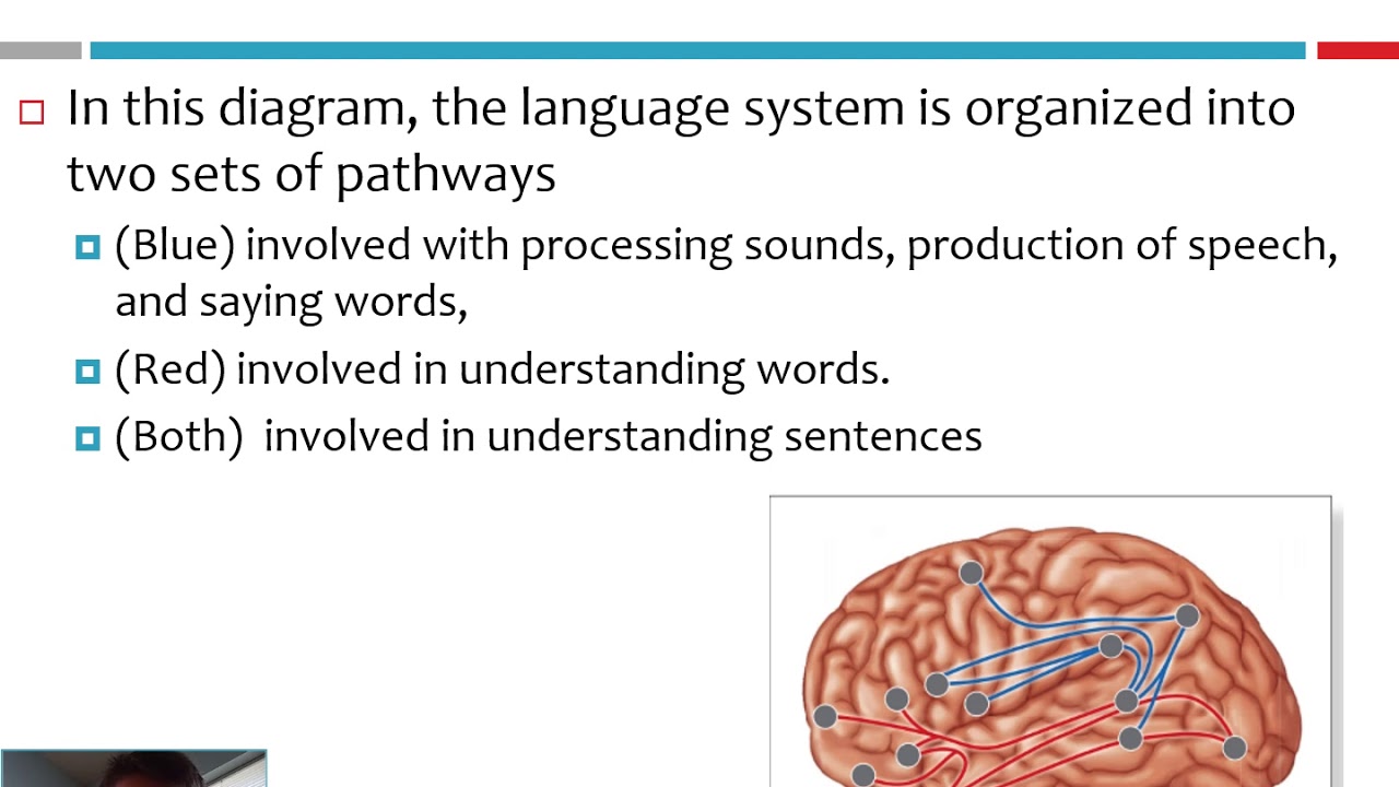 MODULE 2 Distributed Representation