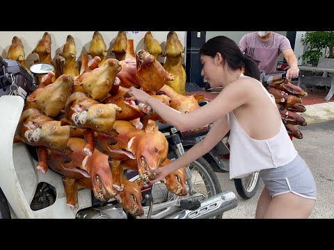 Discover the world's best and most abundant dog meat market