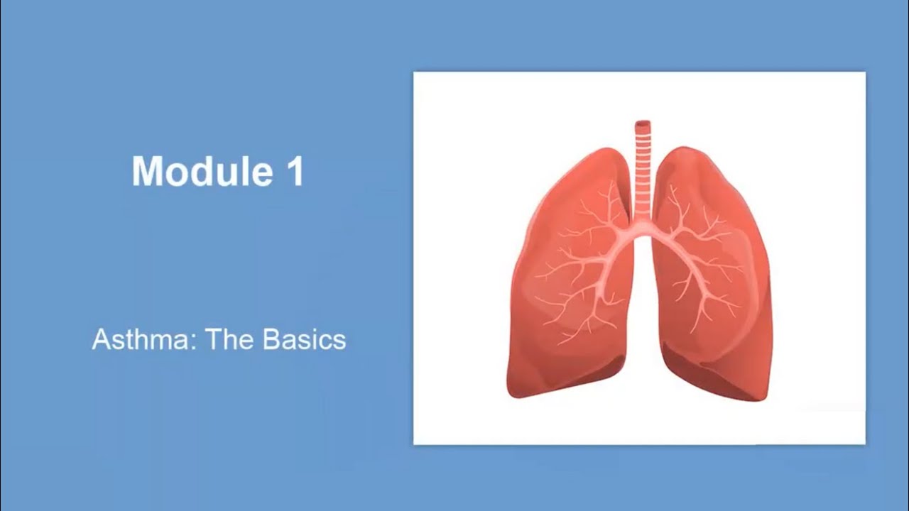 Asthma education video modules: Module 1—Asthma, The Basics