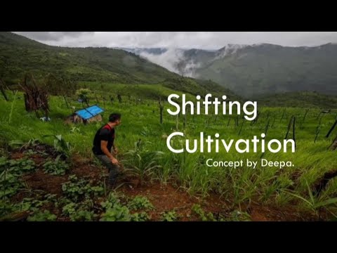 Shifting Cultivation | Agricultural Geography | Geography | Agriculture