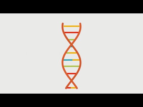 Clinical Metagenomics Explained