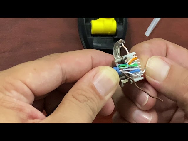 SYSCOM: ZP1-6AS-01S-SIEMON - Plug RJ45 Cat6A Blindado, Terminación en ...