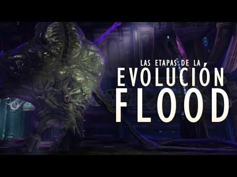 Halo | Las ETAPAS de EVOLUCIÓN del FLOOD