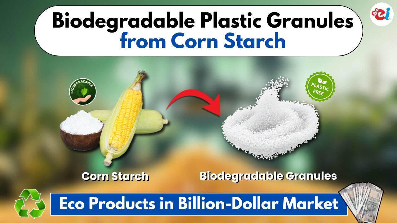 Start a Biodegradable Plastic Granules Business from Corn Starch | Huge ₹20,000Cr Market Opportunity